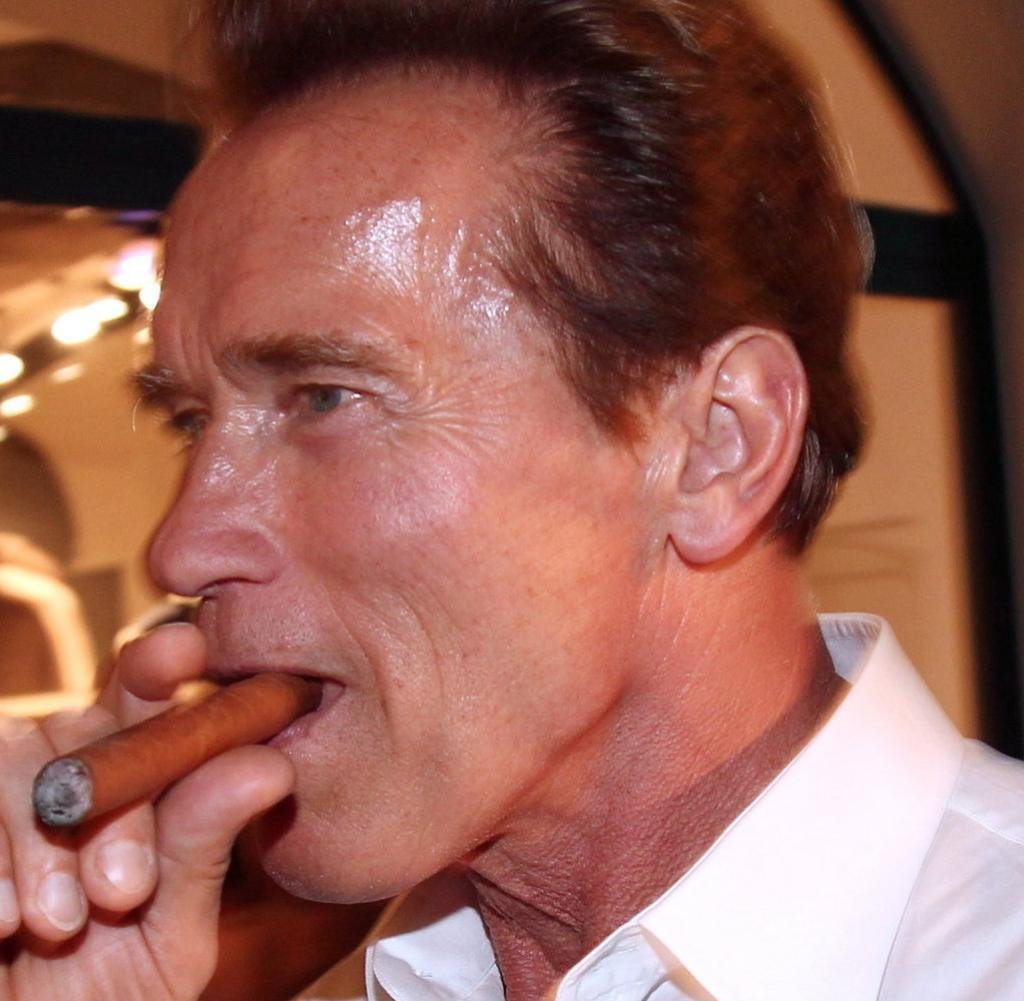 ARNOLD SCHWARZENEGGER RETTET DIE WELT - Michael Graeter